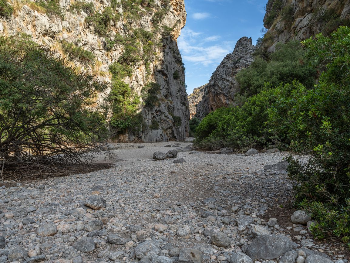 Search HDRi Maps and Backplates - CGI.Backgrounds
