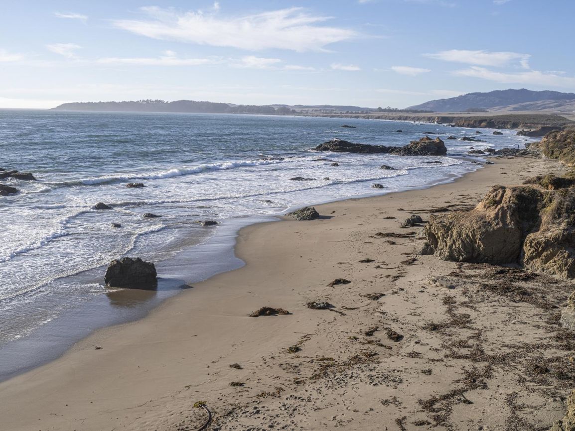 Coastal Destination: Sandy Beach by the Ocean