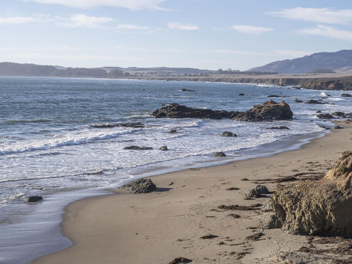 Coastal Destination: Sandy Beach by the Ocean