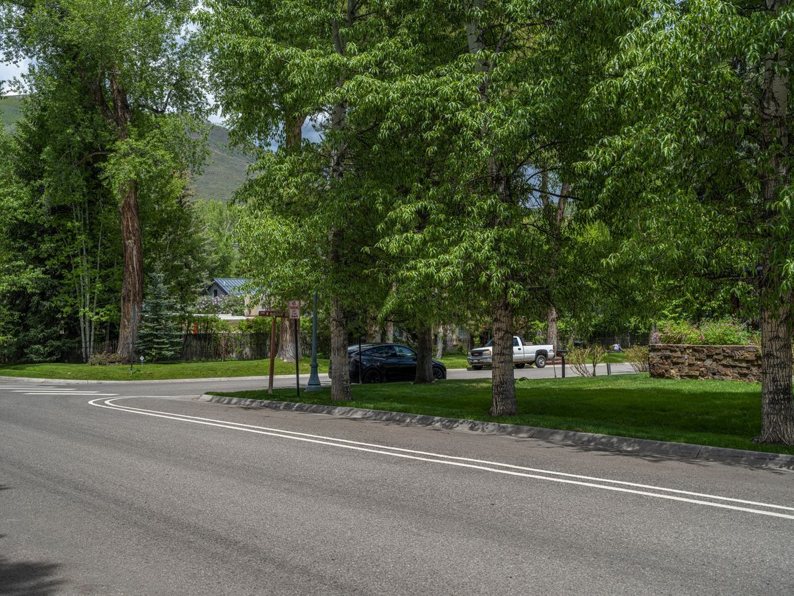 Colorado Suburban Aspen Road: Lush Greenery View