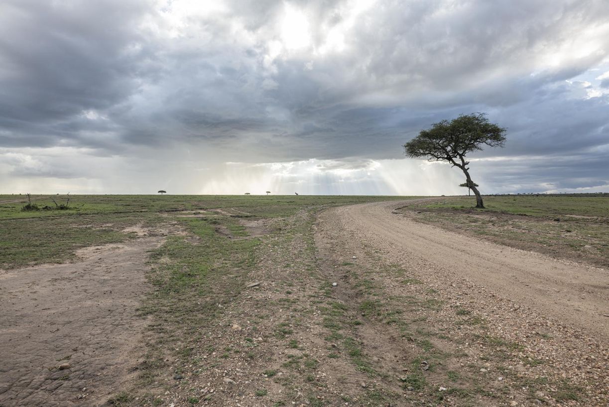 Dirt Road in African Plain with Dramatic Sky
