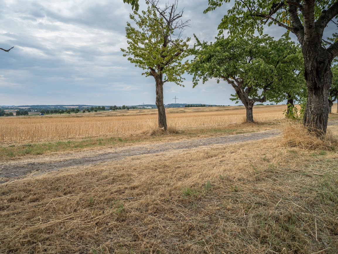 Rural Landscape in Europe: Agricultural Fields View