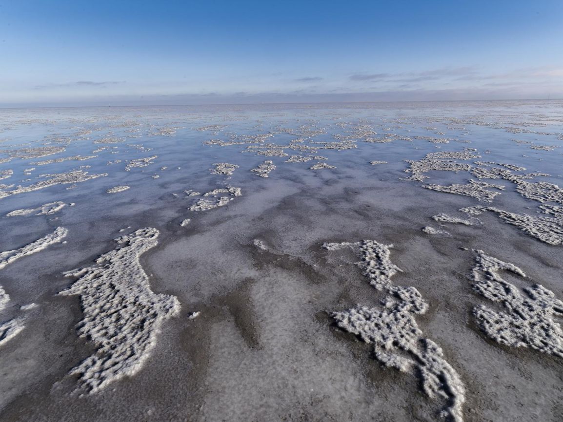 Salt Lake City, Utah Arctic Landscape