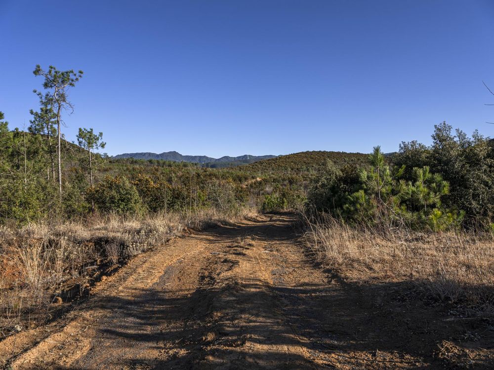 Adventure Journey on Off Road Path - HDRi Maps and Backplates