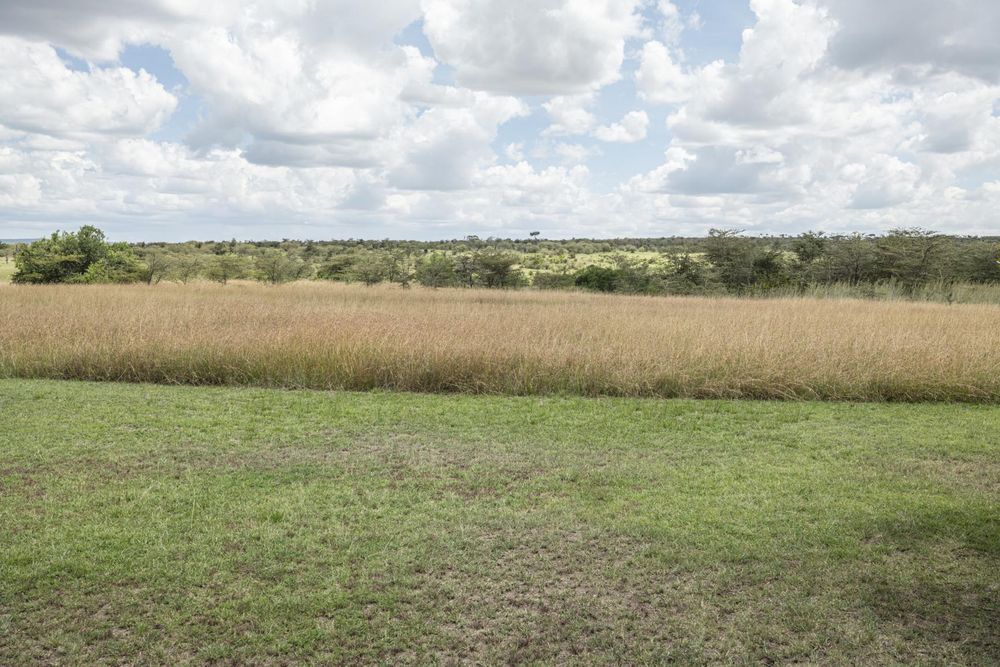 Africa: An Open Grassy Plain Landscape - HDRi Maps and Backplates
