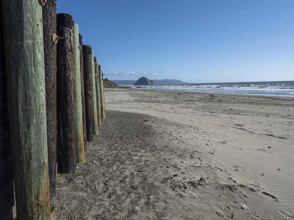 California Coast: Low Cliffs and Sandy Beach - HDRi Maps and Backplates