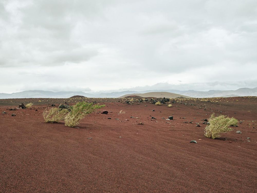 California's Daytime Landscape: The Beauty of Nature - HDRi Maps and ...