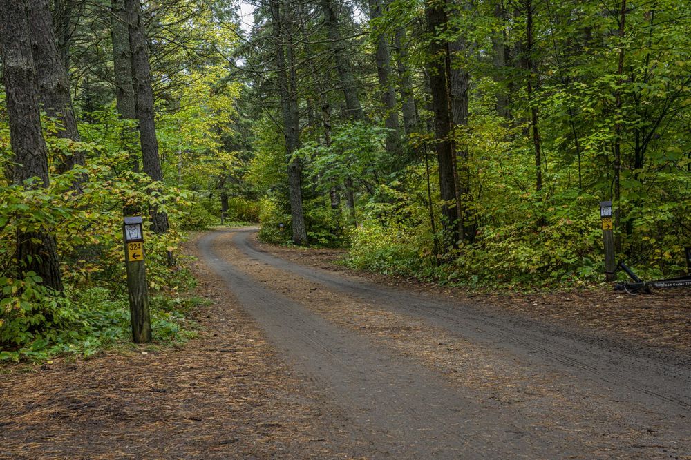 Canadian Forest Road Through Tree-Lined Scenic - HDRi Maps and Backplates