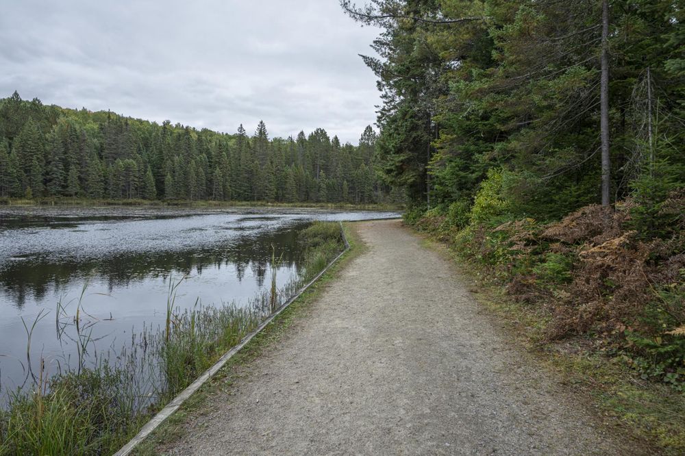 Cloudy Day Landscape in Ontario, Canada - HDRi Maps and Backplates