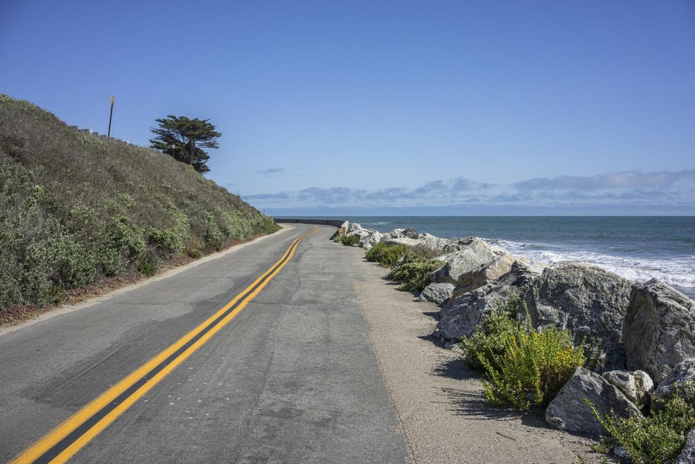 Coastal Road with Ocean View, Rocks, and Trees