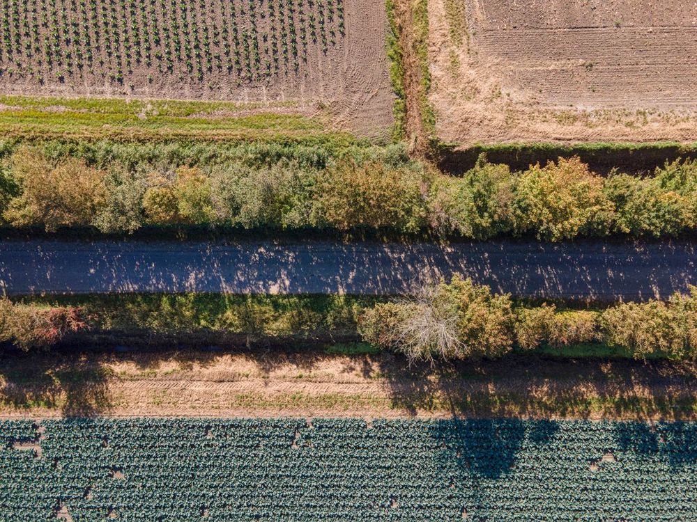 Elevated View of Green Fields in Holland - HDRi Maps and Backplates