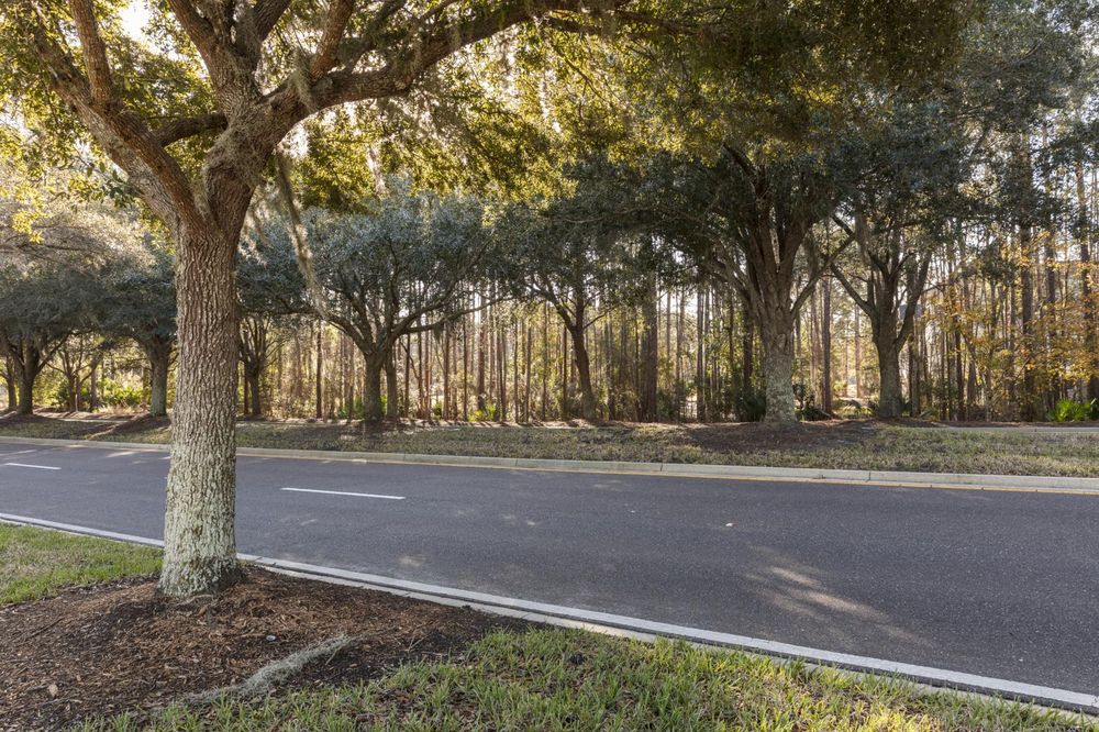 Florida Scenic Road through Green Grass and Trees - HDRi Maps and ...