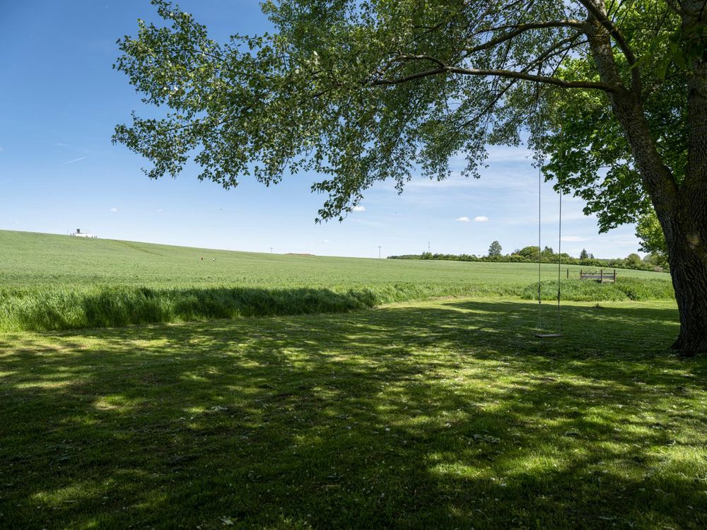 German Fields: Grass Dotted with Trees - HDRi Maps and Backplates