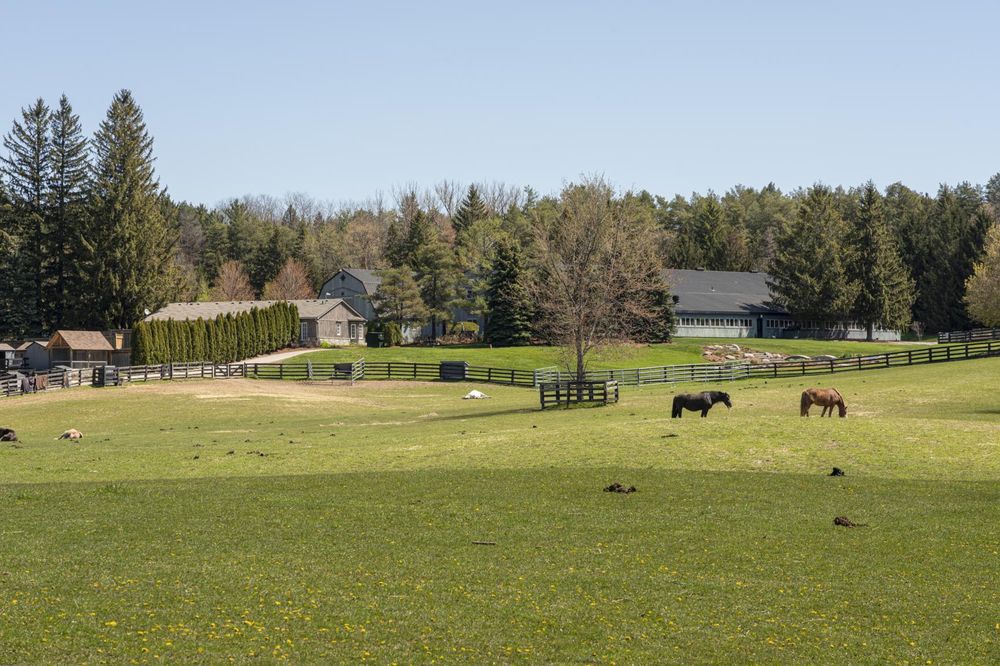 Green Grass Fields in the Ontario Countryside - HDRi Maps and Backplates