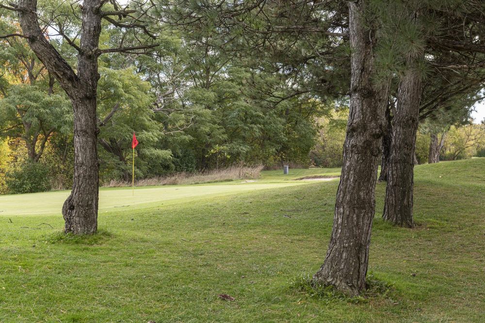Green and Red Objects in Scenic Woods Outside a Park Area in Canada ...