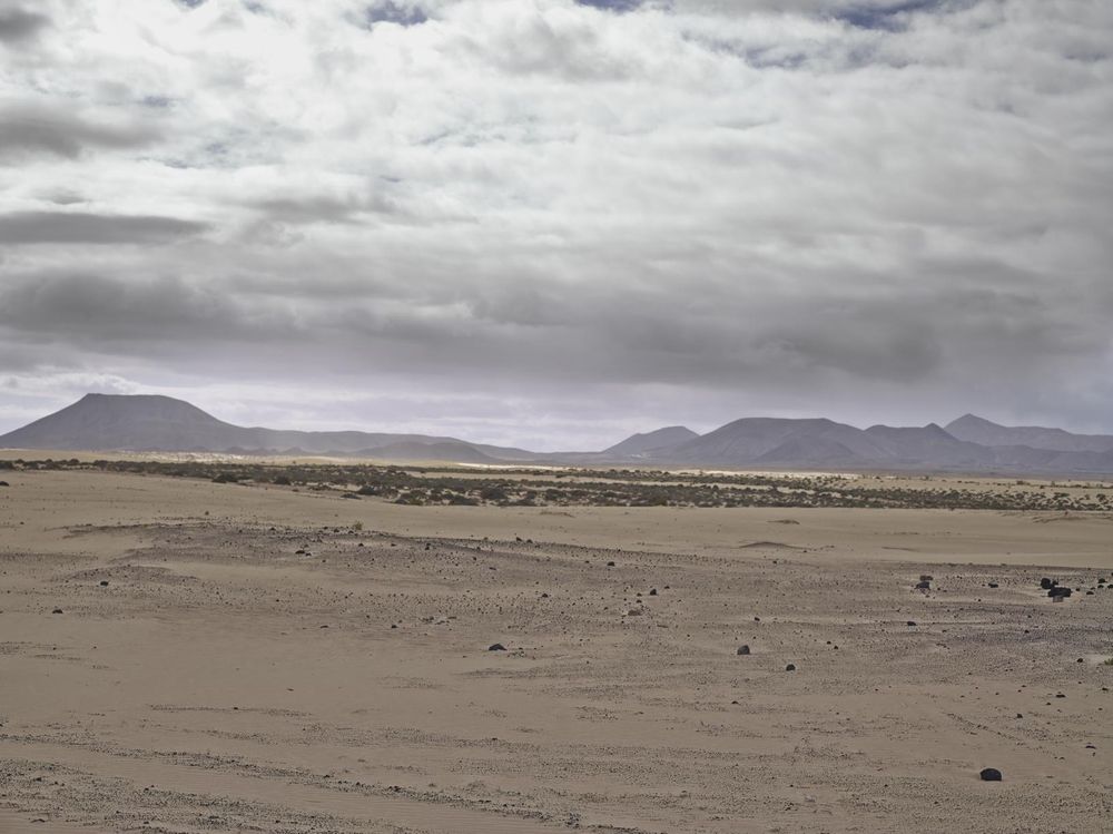 Horse grazing in a barren desert plain with mountains in the distance ...