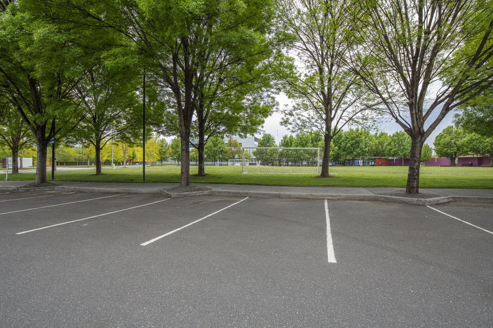 Lush Green Car Park with Trees and Grass