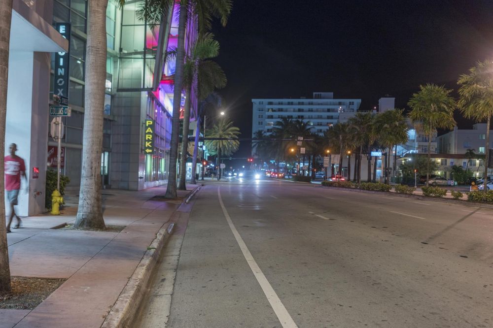 Man Standing on City Street with Palm Trees in Miami, Florida at Night ...
