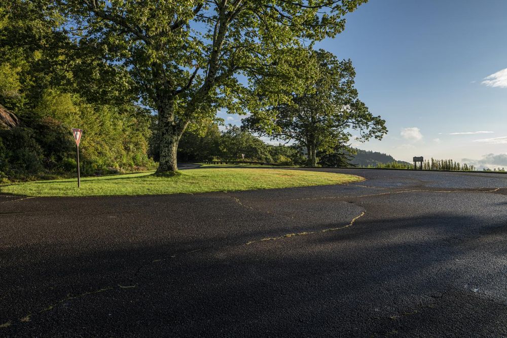 North Carolina Mountain Road: Tree-Lined Vistas - HDRi Maps and Backplates