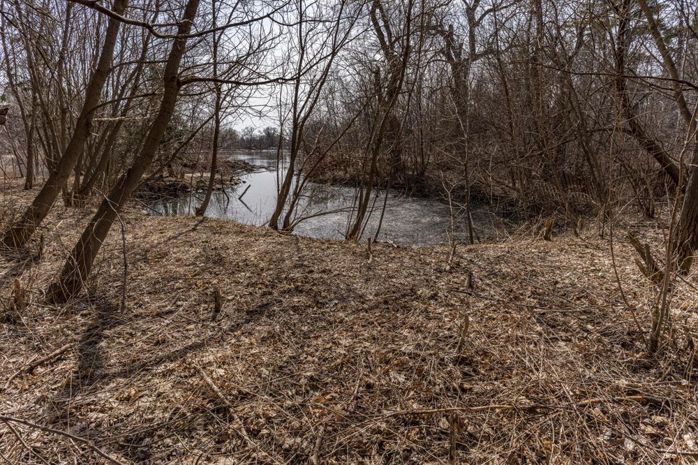 Scenic Landscape of a Tree Line near a Pond in Ontario, Canada - HDRi ...