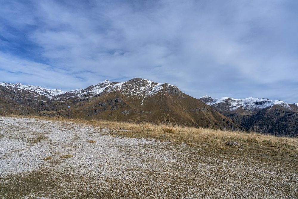 Open Space and Nature: Vegetation and Gravel - HDRi Maps and Backplates