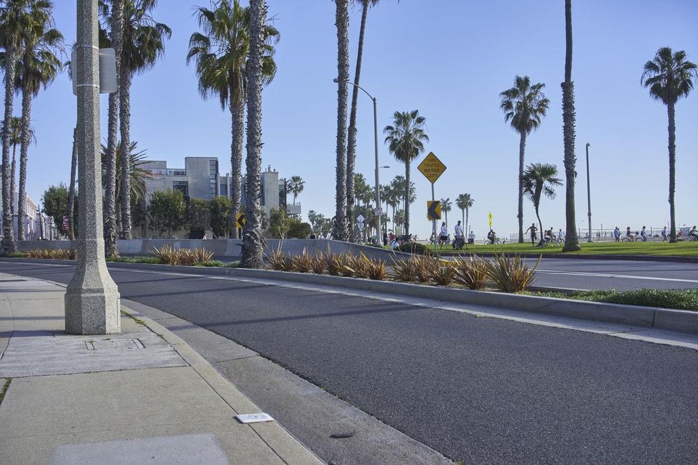 Palm Trees in Residential Area with Coastal Sky - HDRi Maps and Backplates