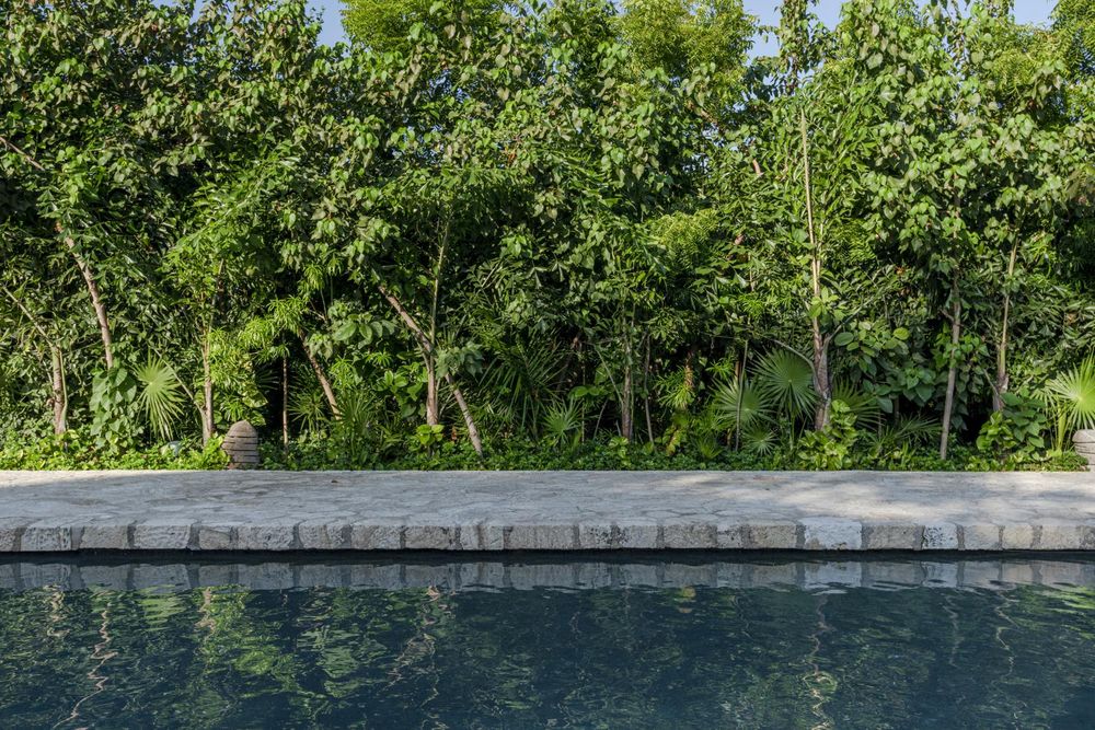 Residential Landscape in Mexico: Grass and Trees - HDRi Maps and Backplates