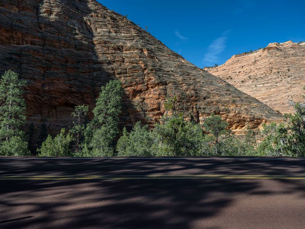 Road in Zion National Park, Utah