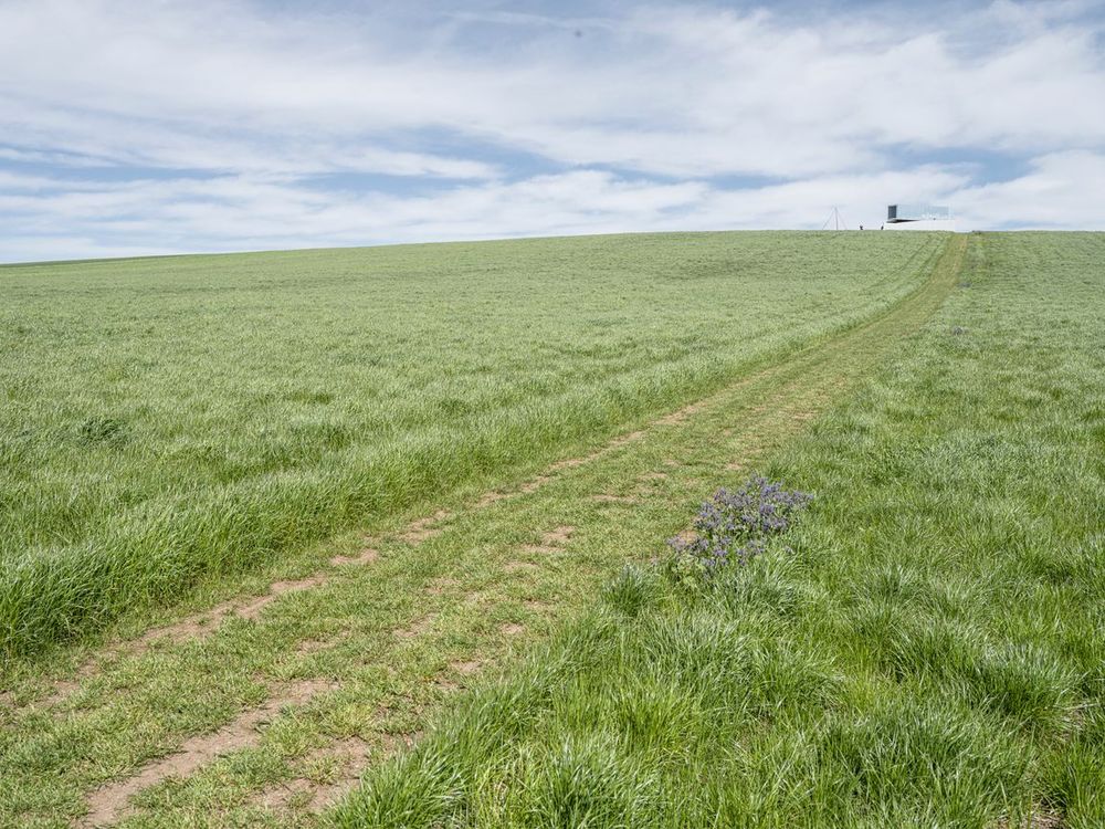 Rural Germany Landscape: Grassy Field - HDRi Maps and Backplates