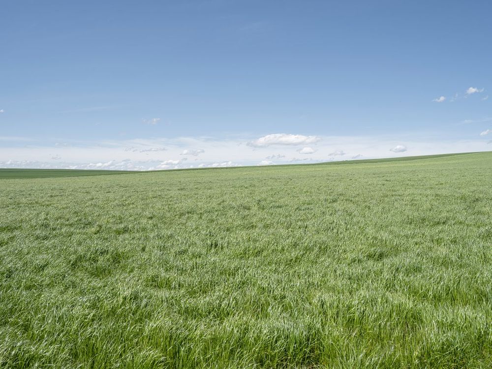 Rural Landscape in Germany: Fields as Far as the Eye Can See - HDRi ...
