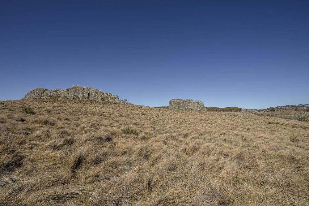 Rural Landscape: Open Spaces and Clear Skies - HDRi Maps and Backplates