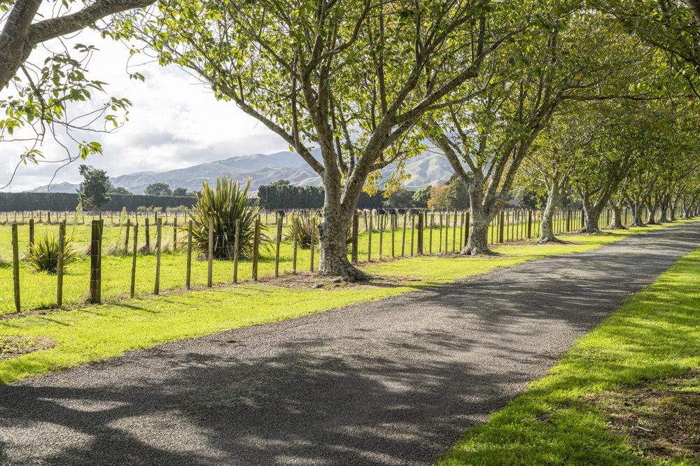 Rural Landscape: Road Through Green Grass - HDRi Maps and Backplates