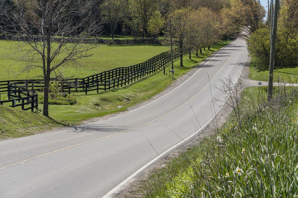 Rural Ontario: A Tree-Lined Road to the Farm - HDRi Maps and Backplates