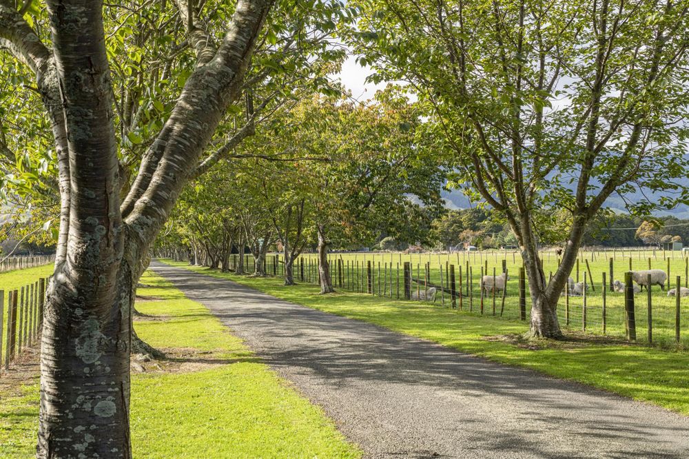 Rural Road Landscape with Green Vegetation - HDRi Maps and Backplates