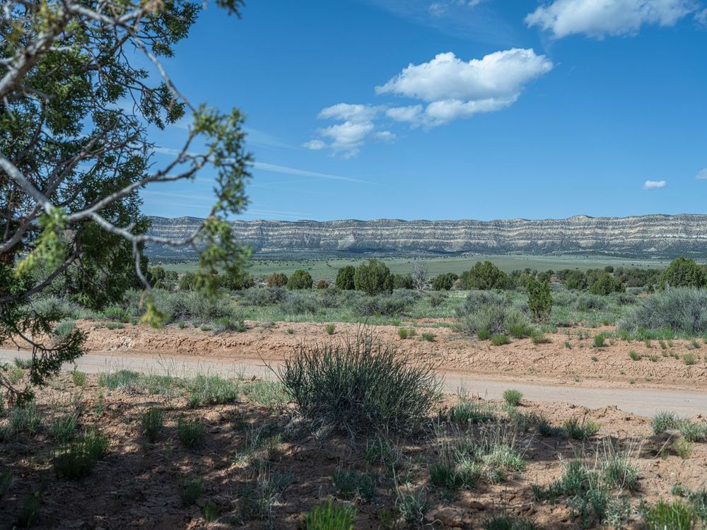 Rural Utah: Off-Road Track Leading to a Campground - HDRi Maps and ...