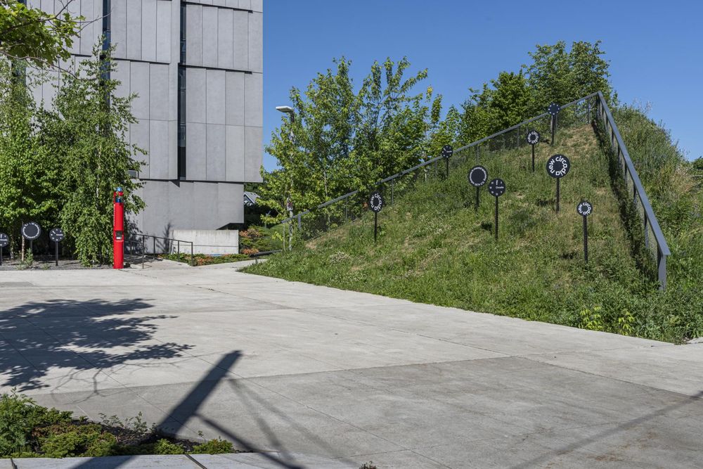 Toronto City Life: Exploring the Concrete Jungle - HDRi Maps and Backplates