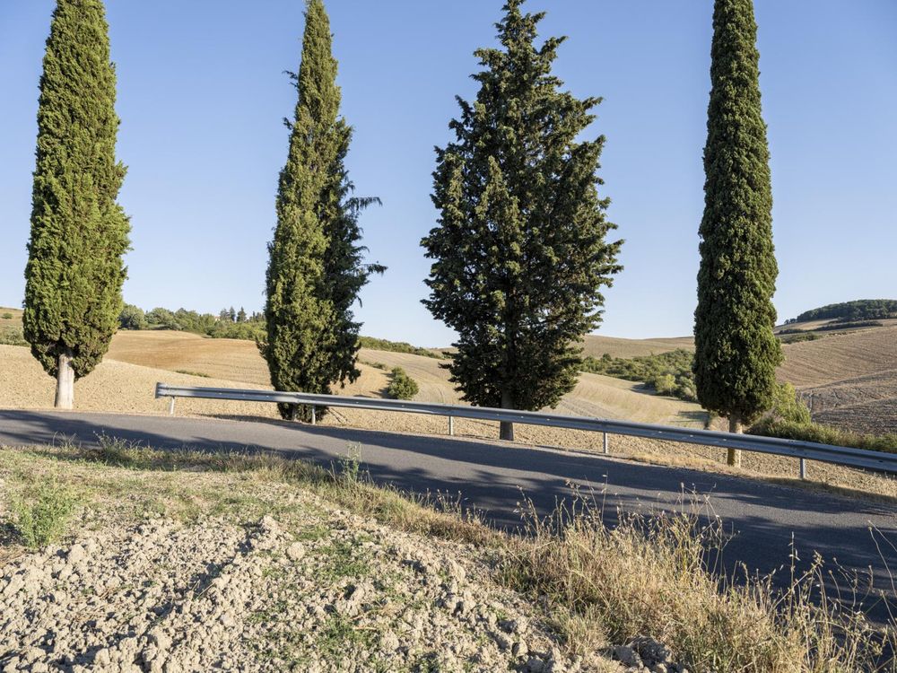 Tuscany, Italy - Rugged Road Asphalt - HDRi Maps and Backplates