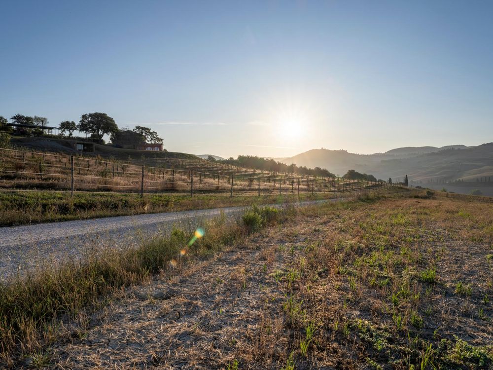 Tuscany Sunrise: Sun Visible in the Clear Sky - HDRi Maps and Backplates