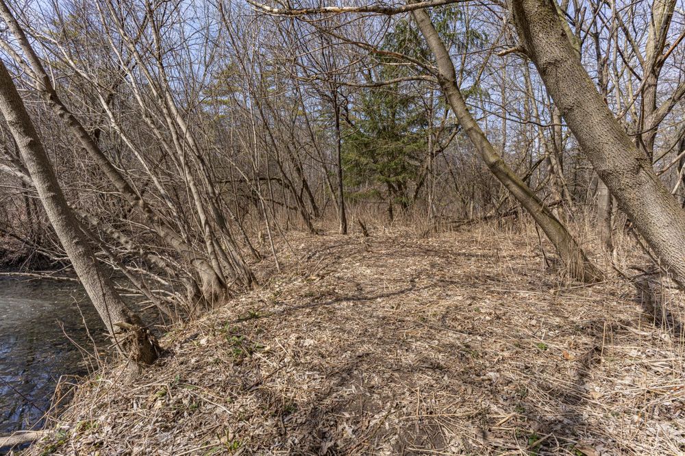 Wooded Area by the River in Ontario, Canada - HDRi Maps and Backplates