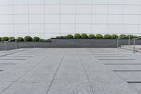 Chicago City on a Sunny Day with Urban Wall Art HDRi Maps and Backplates