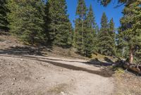 Daytime Landscape: Profile of a Gravel Road HDRi Maps and Backplates
