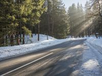 Winter Road in Germany HDRi Maps and Backplates