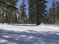 Snowy Landscape in California: A Winter Day HDRi Maps and Backplates