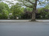 Urban Design in Berlin: City Lane with a View HDRi Maps and Backplates