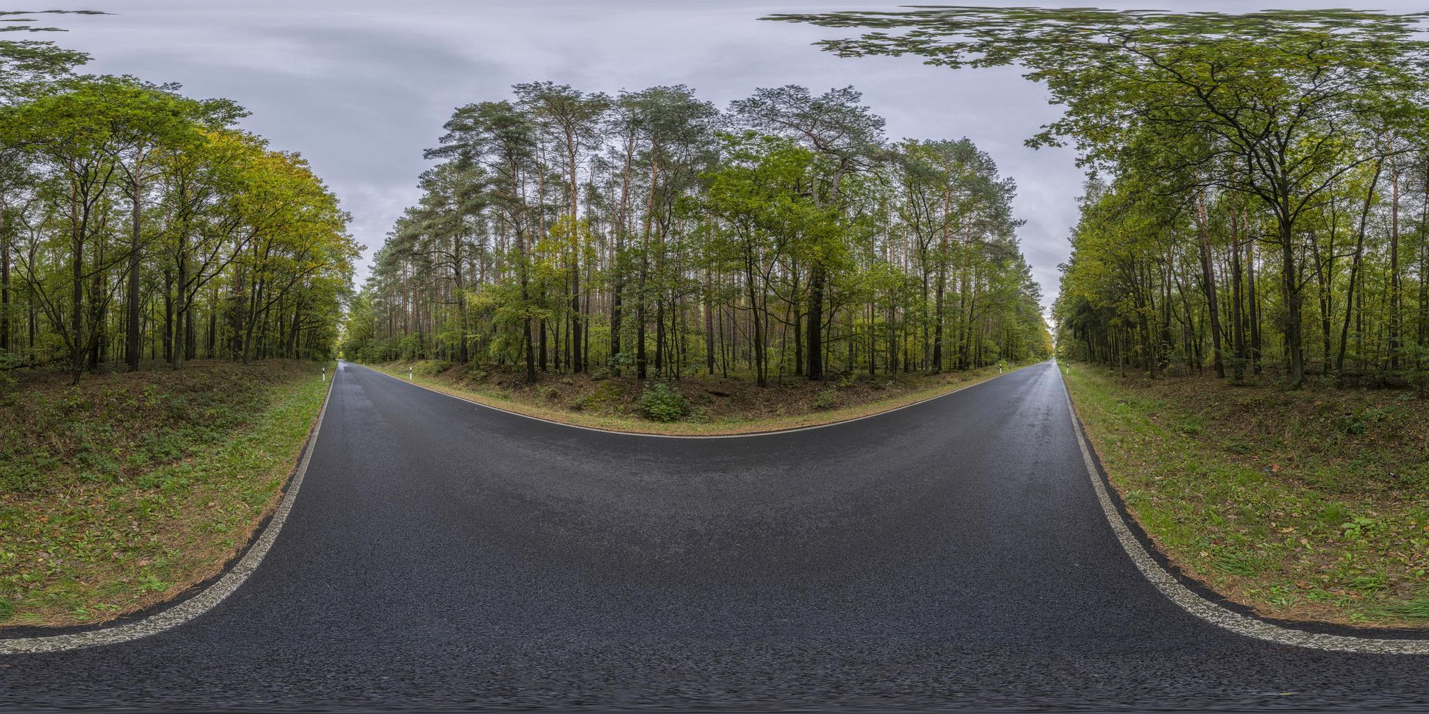 Berlin's Double Road: A Picturesque Landscape of Trees - HDRi Maps and ...