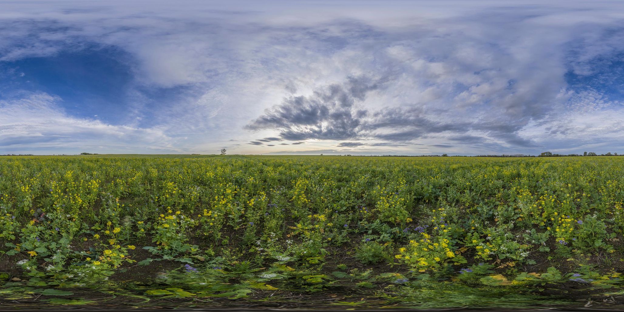German Countryside near Berlin: A Serene Landscape - HDRi Maps and ...
