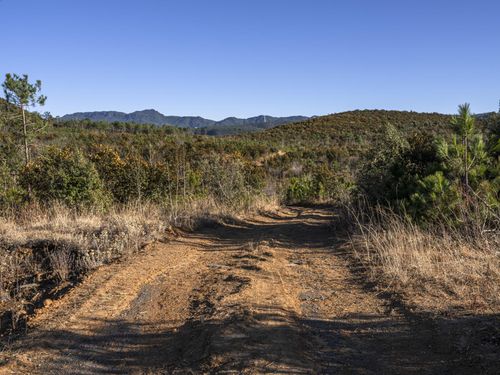 Adventure Journey on Off Road Path - HDRi Maps and Backplates