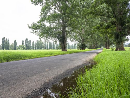 Asphalt Road in Bega Valley, South Coast, Australia - HDRi Maps and ...