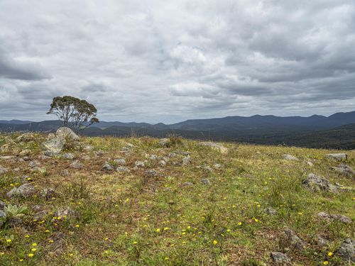 Australian Off-Road Adventure: Bald Hills, Valley, and Mountain - HDRi ...