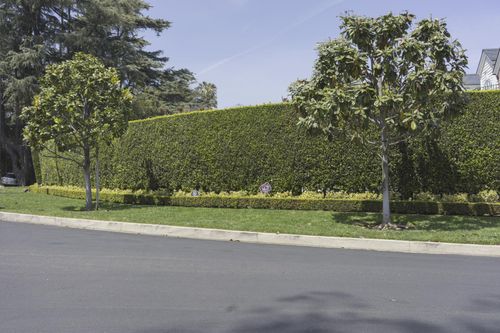 Beverly Hills Residential Property with Trees, Hedge, and Wall - HDRi ...